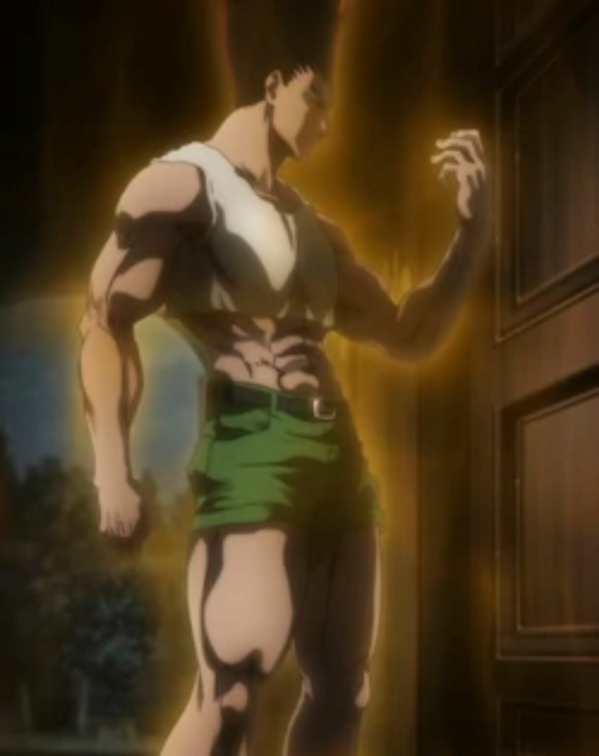 How Strong is Gon Freecs? What is His Nen Potential?