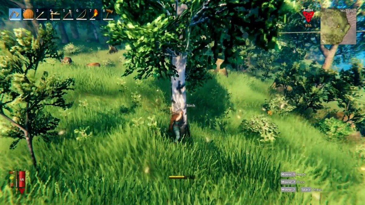 How to Hang Trophies on Walls in Valheim?
