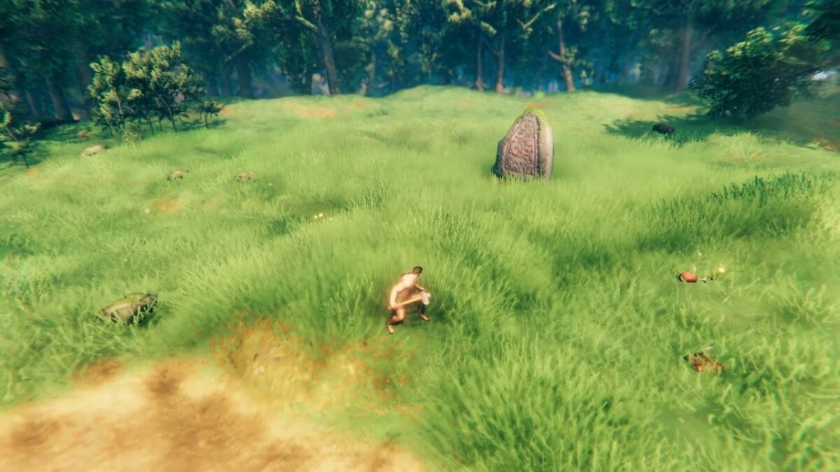 ¿Cómo domesticar a todos los animales en Valheim? ¿Cómo conseguir cuero?