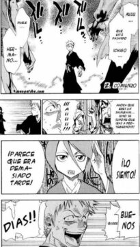 Bleach Manga To Receive Special Chapter For 20th Anniversary