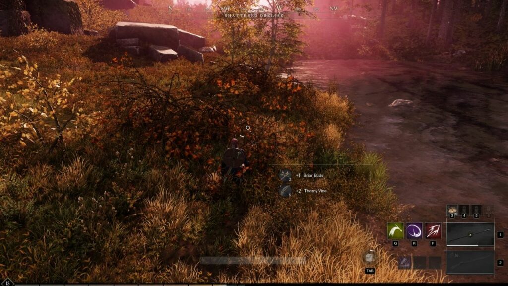 Where to Find and How to Farm Briar Branches in New World?