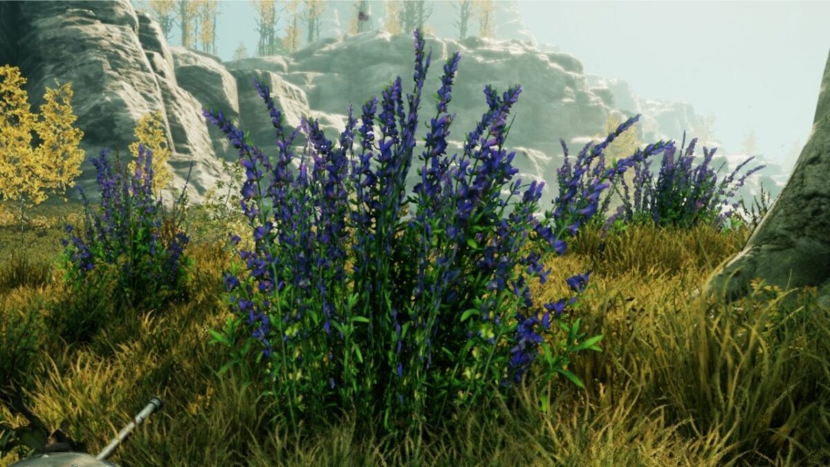How to get Cinnamon in New World? What can you make with it?