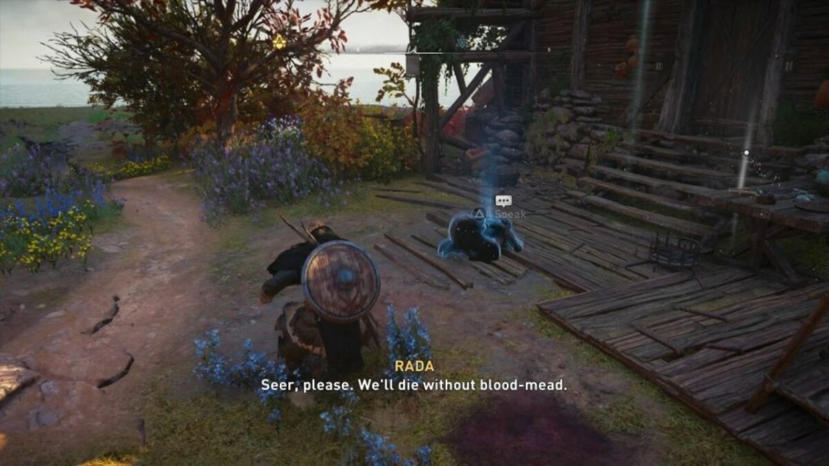 Where to take the Seer in AC: Valhalla Life-Blood Quest?