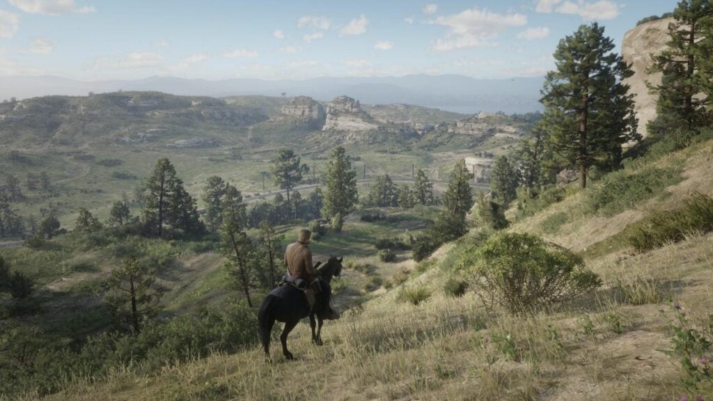 Does RDR2 have difficulty settings? How to make the game easier?