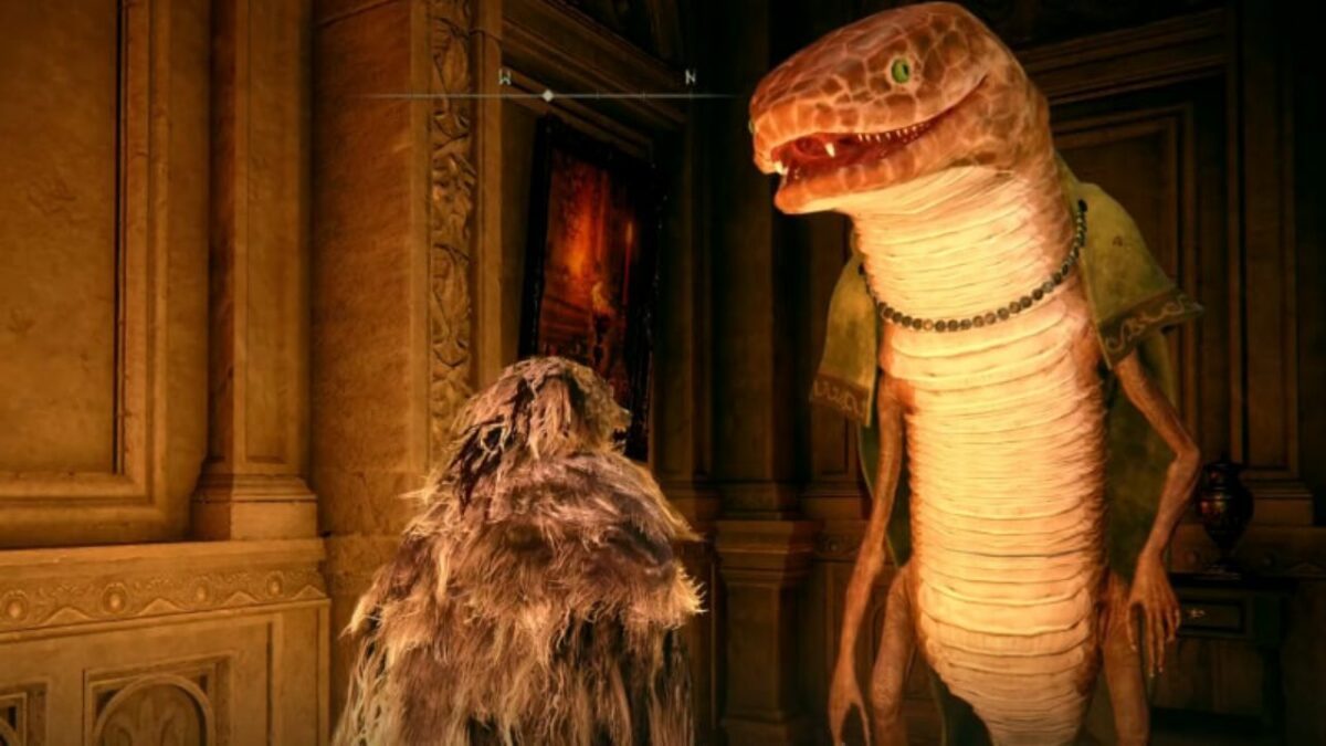 What happens to Zoraya from your choices in Elden Ring?