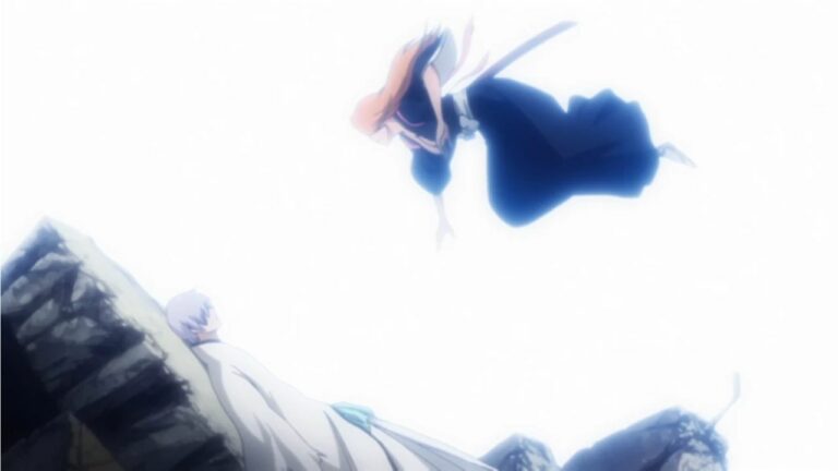 What happens when a soul reaper dies in the Bleach series?