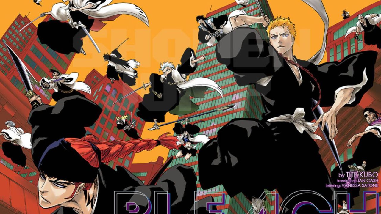 What happens when a soul reaper dies in the Bleach series?