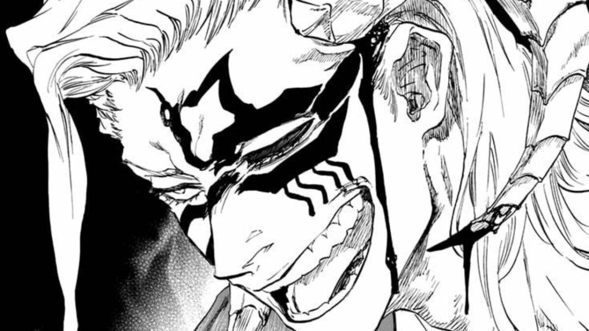 What happens when a soul reaper dies in the Bleach series?