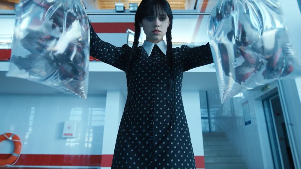 Is Netflix’s Wednesday a good show and worth your time?