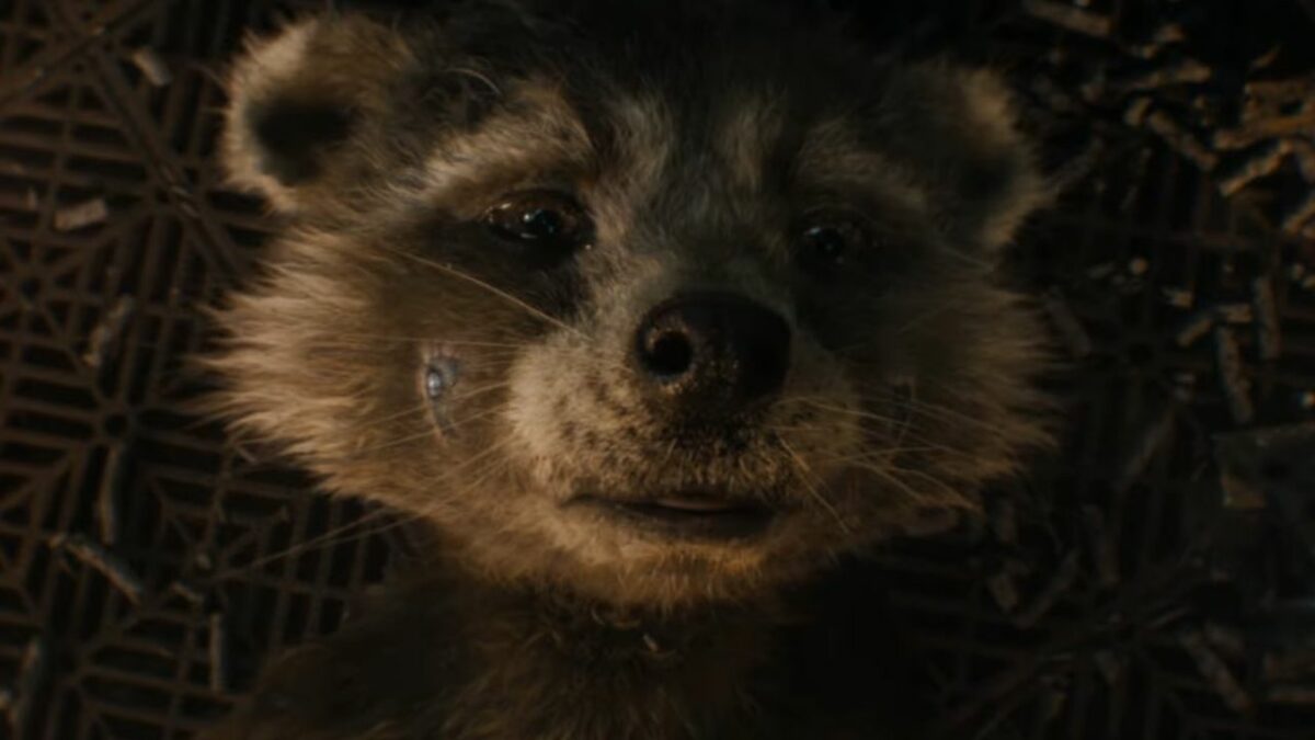 Rocket’s Home Planet Introduced in GOTG Vol 3 Trailer