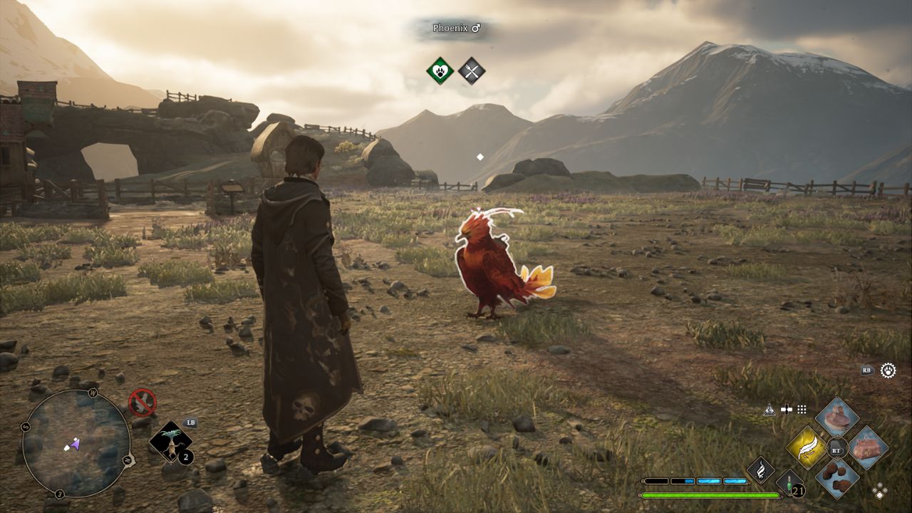 Is there only one Phoenix in Hogwarts Legacy?