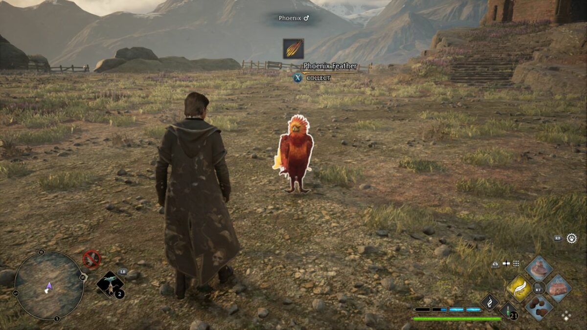 Is there only one Phoenix in Hogwarts Legacy?