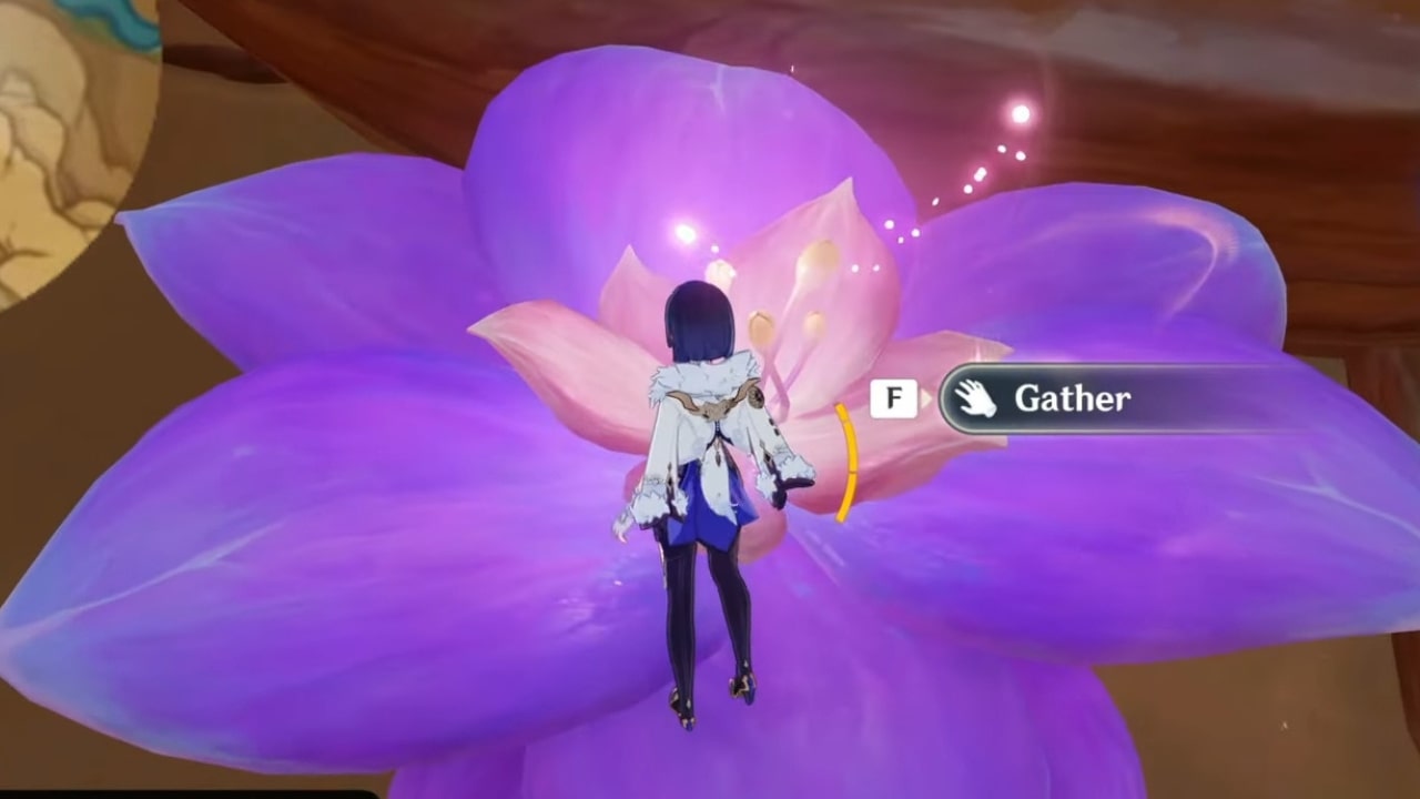 how-to-find-and-collect-udumbara-pistils-in-genshin-impact