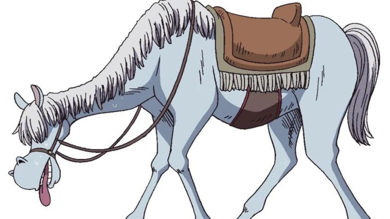 All Members of Blackbeard’s Pirate Crew Ranked!