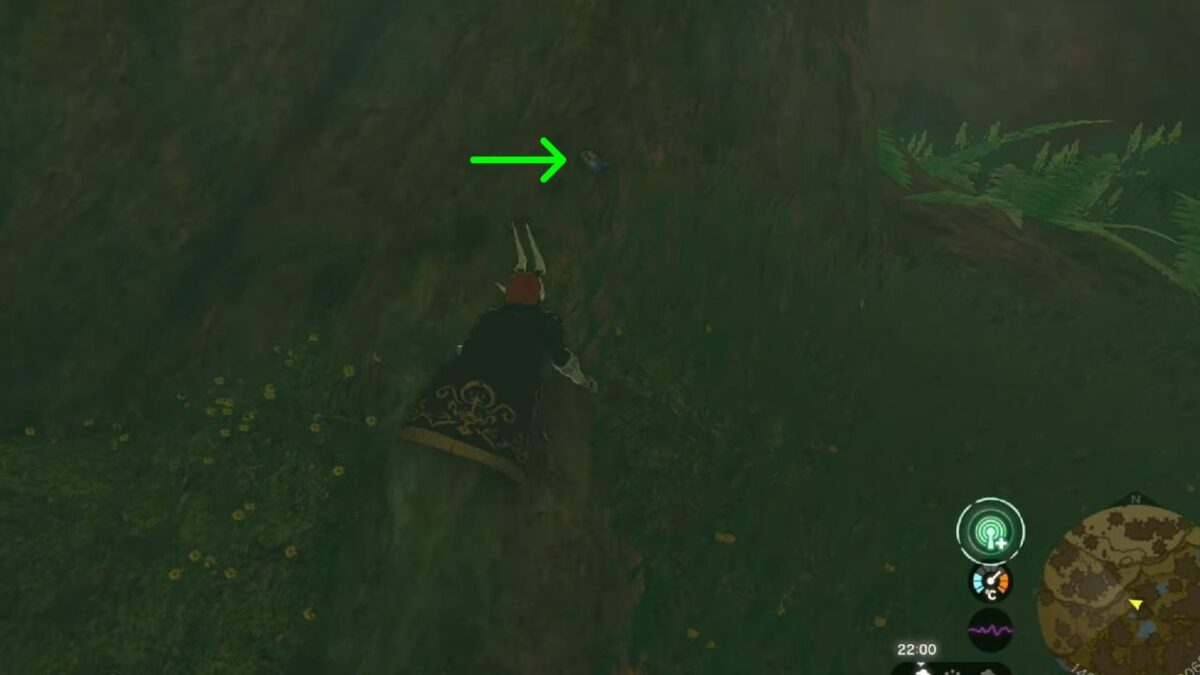 Where to find Bladed Rhino Beetles? Tears of the Kingdom