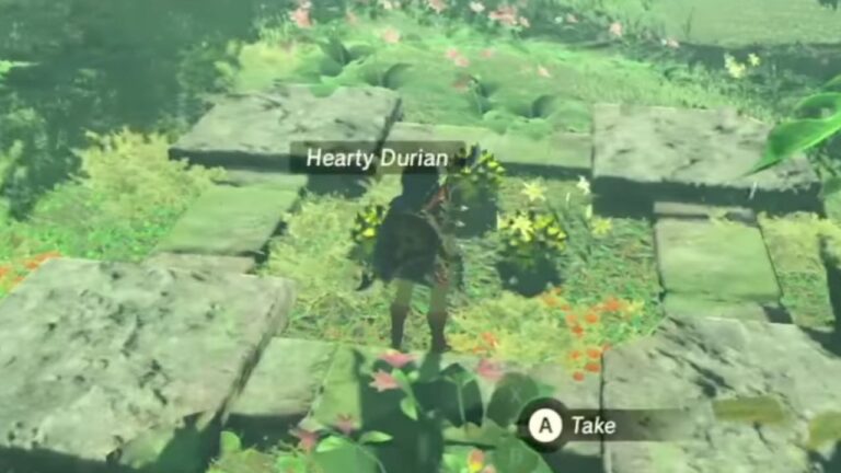 Where to find Hearty Durian in Zelda: Tears of the Kingdom?
