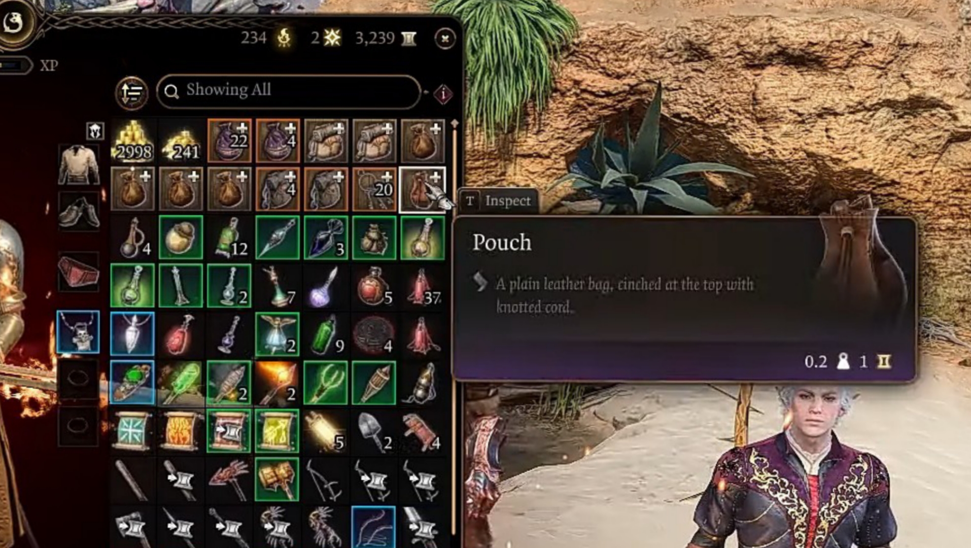 How to manage inventory in Baldur’s Gate 3? - Easy Guide