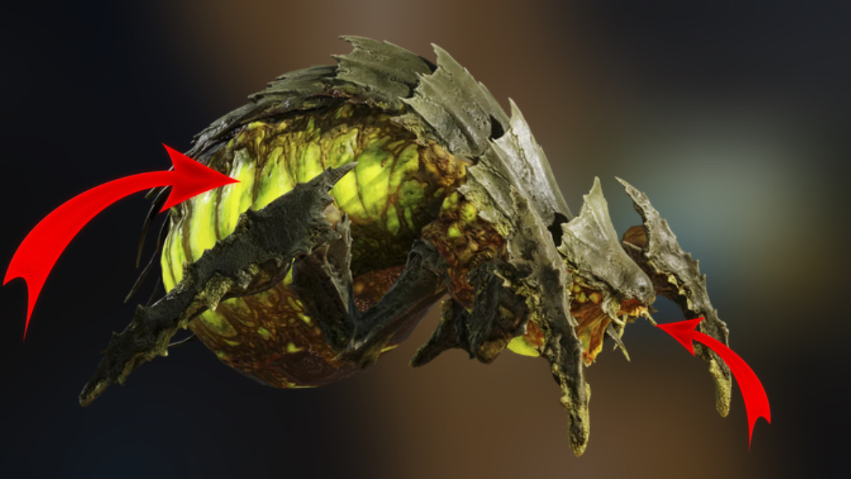 Where to find Bile Spewers in Helldivers 2? Easy Guide
