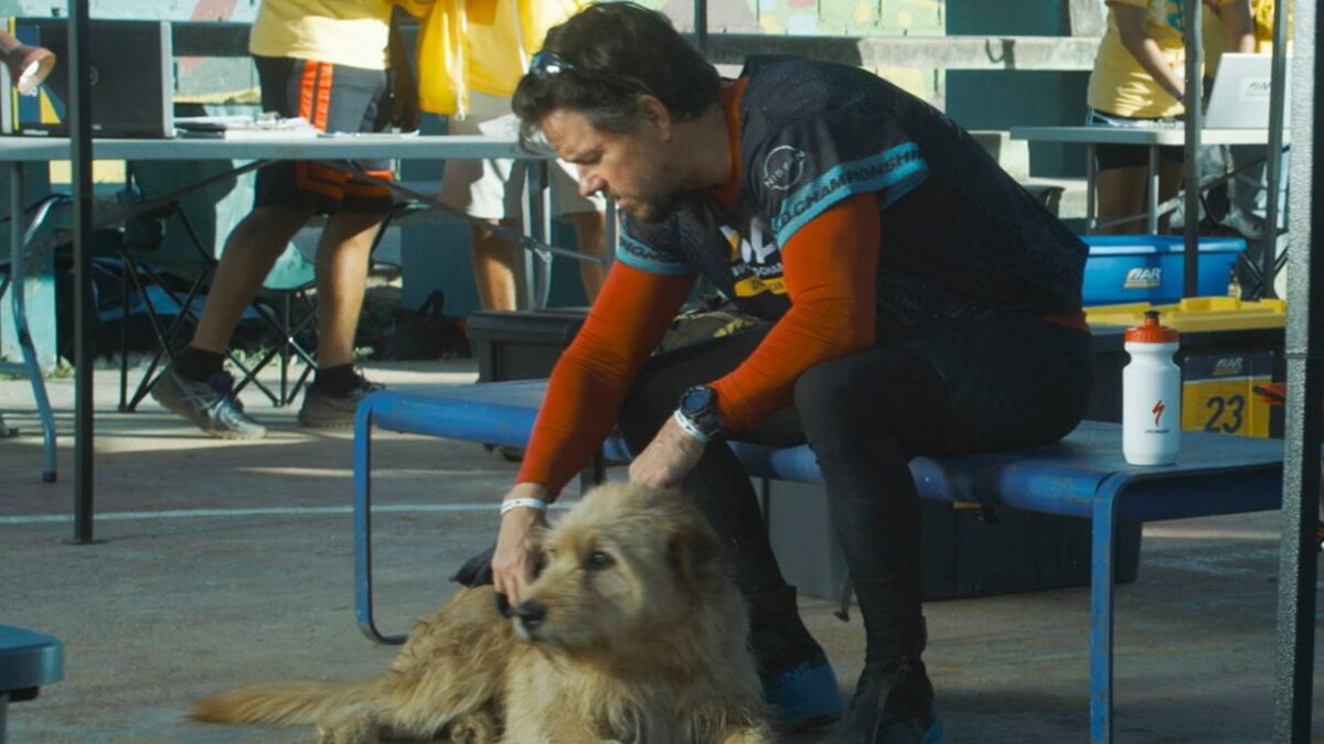 What happened to the dog in Arthur the King in real life?