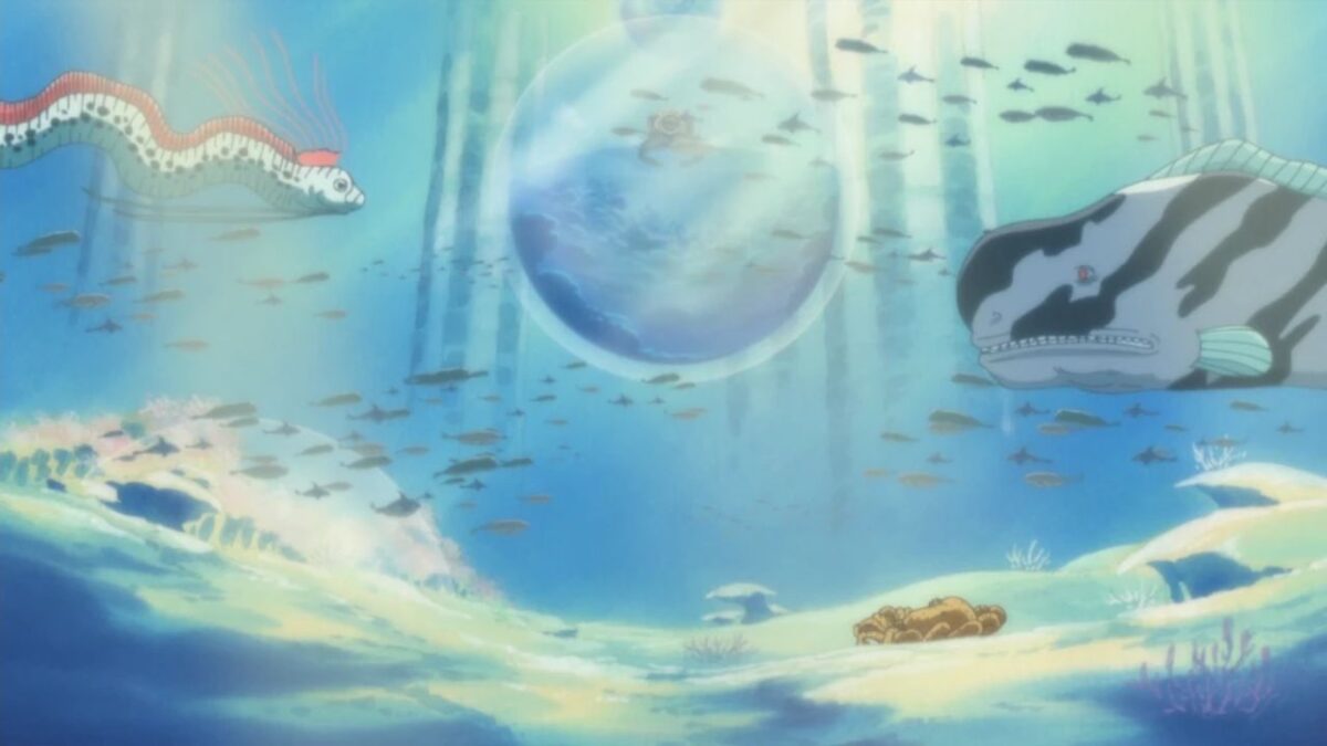 The Hidden Truth Behind The Continents of One Piece World