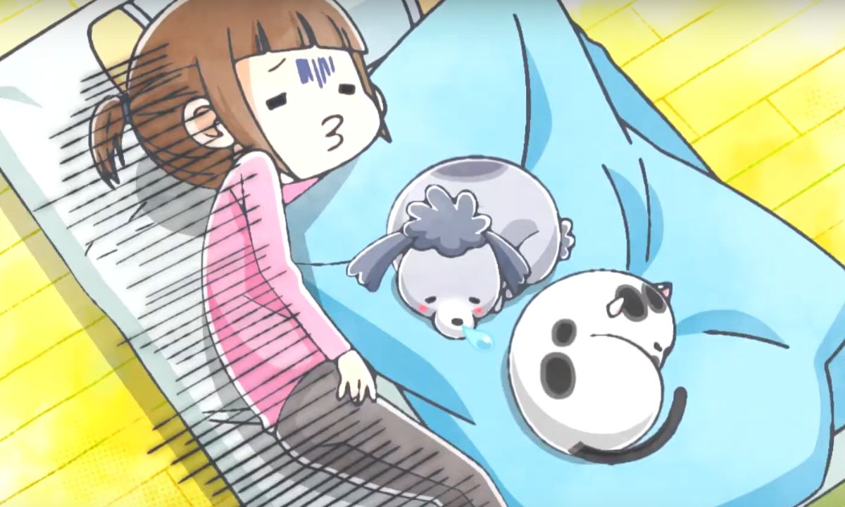 Top 10 Anime with Animal Protagonists, Ranked!