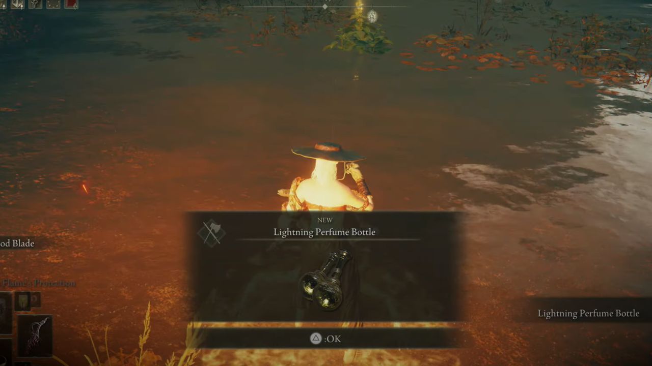 How to find all Perfume Bottles in Elden Ring DLC? Easy Guide
