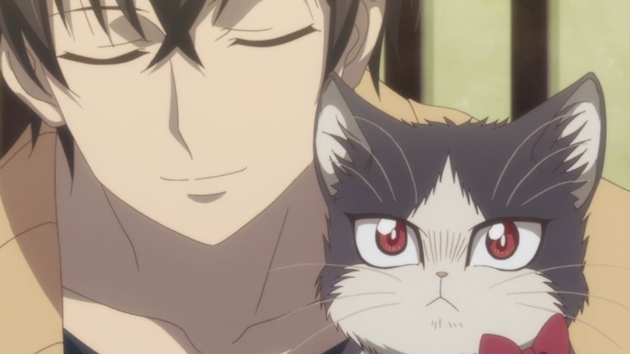 Top 10 Anime Series for Every Cat Lovers