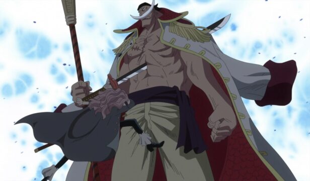 Top 10 Battles in One Piece Anime, Ranked!