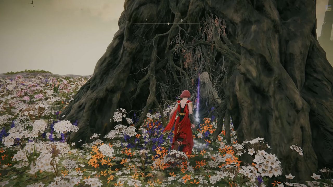 How to get the Golden Braid Talisman in Elden Ring DLC?