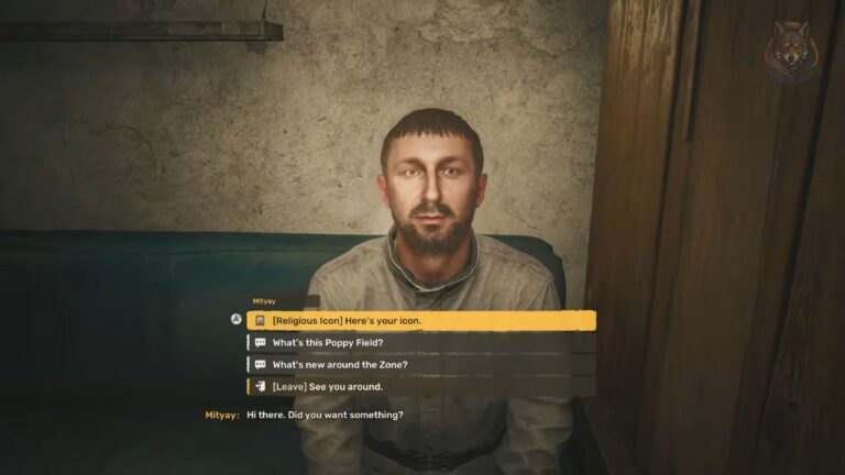 罂粟田任务攻略 – STALKER 2