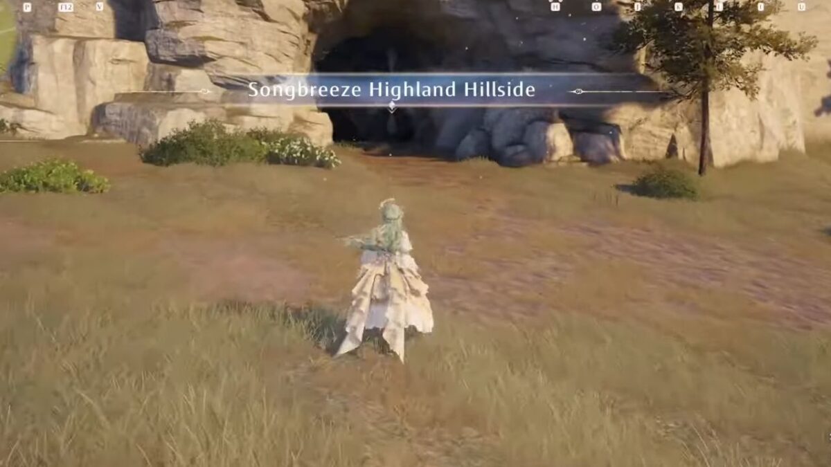 What are the Firework Isle Cave locations in Infinity Nikki?