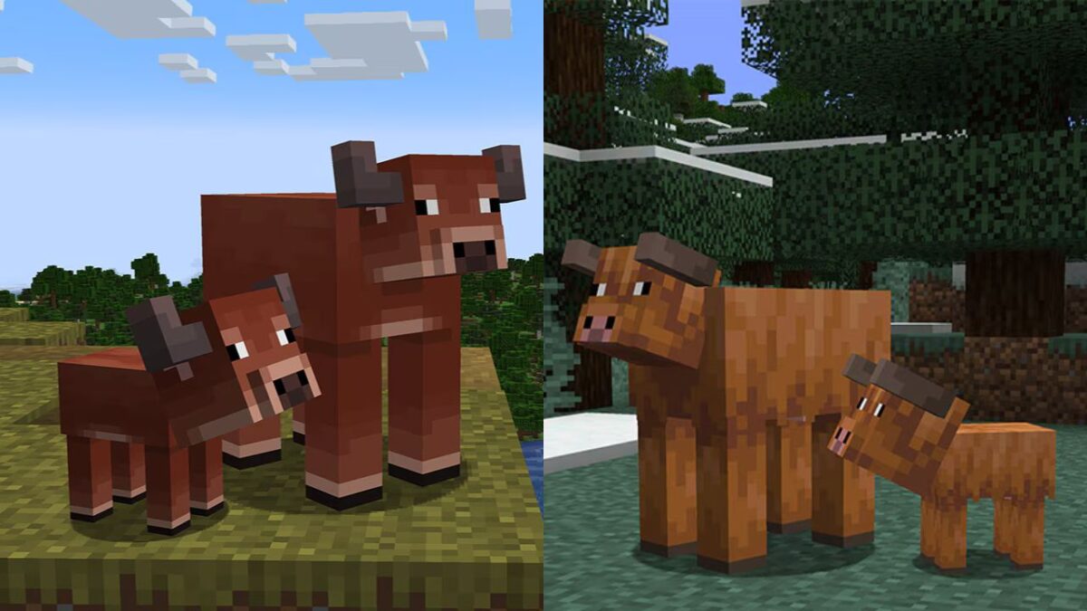 Minecraft Update 2025: New Mob Variants, Features, and More!