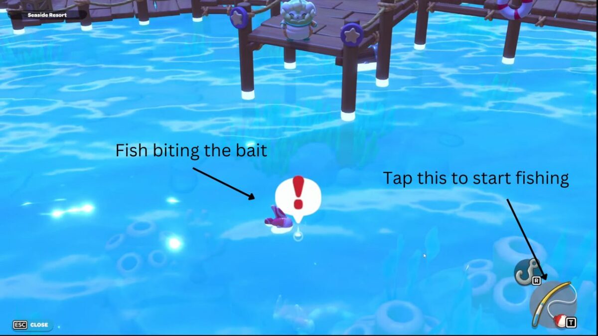 How to Fish in Hello Kitty Island Adventure? Complete Guide