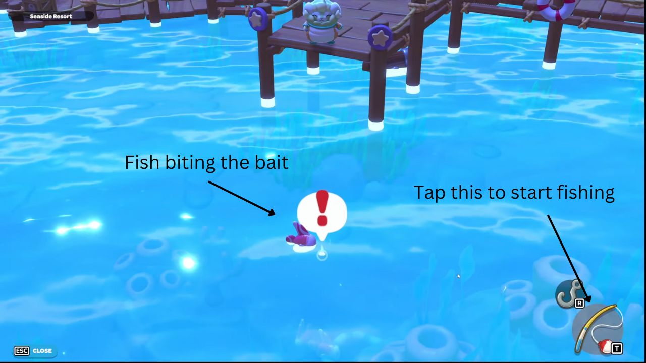 How to Fish in Hello Kitty Island Adventure? Complete Guide