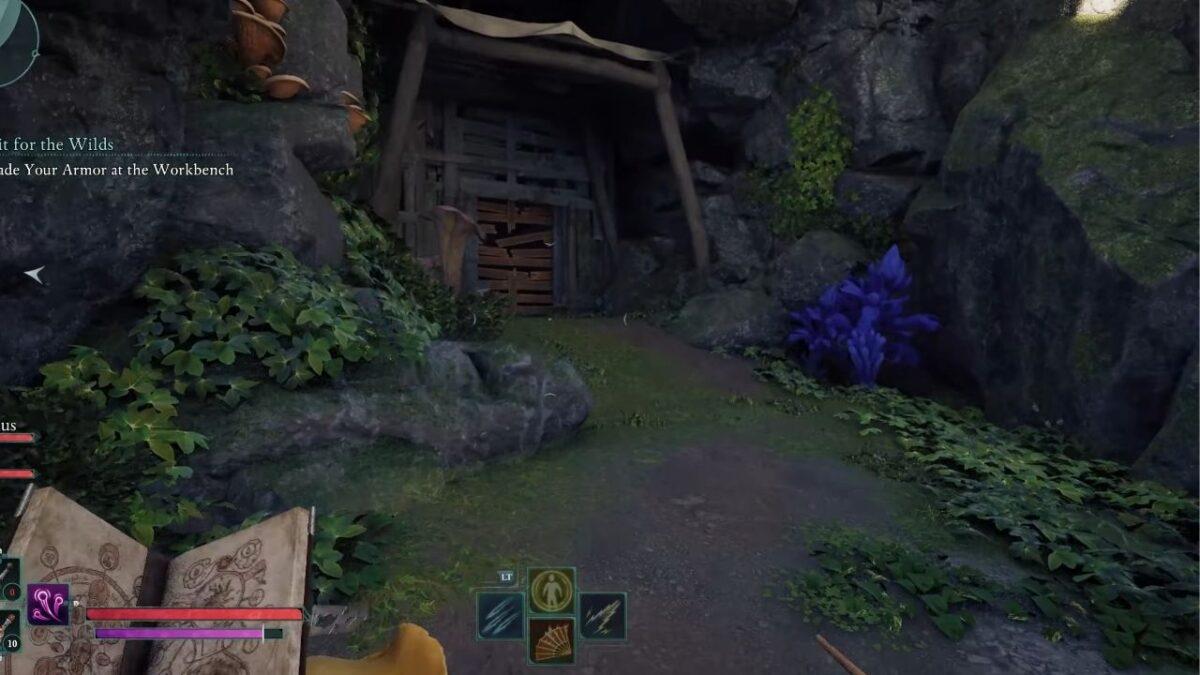 Where to find the Intimidating Feline Codpiece in Avowed?