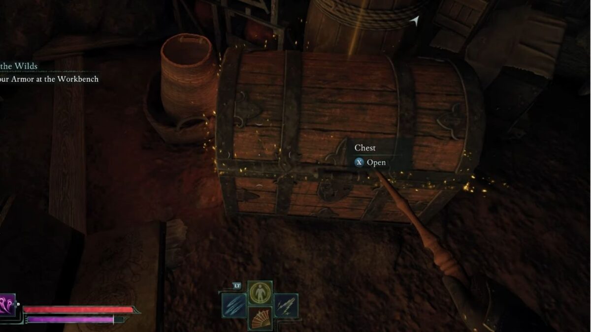 Where to find the Intimidating Feline Codpiece in Avowed?