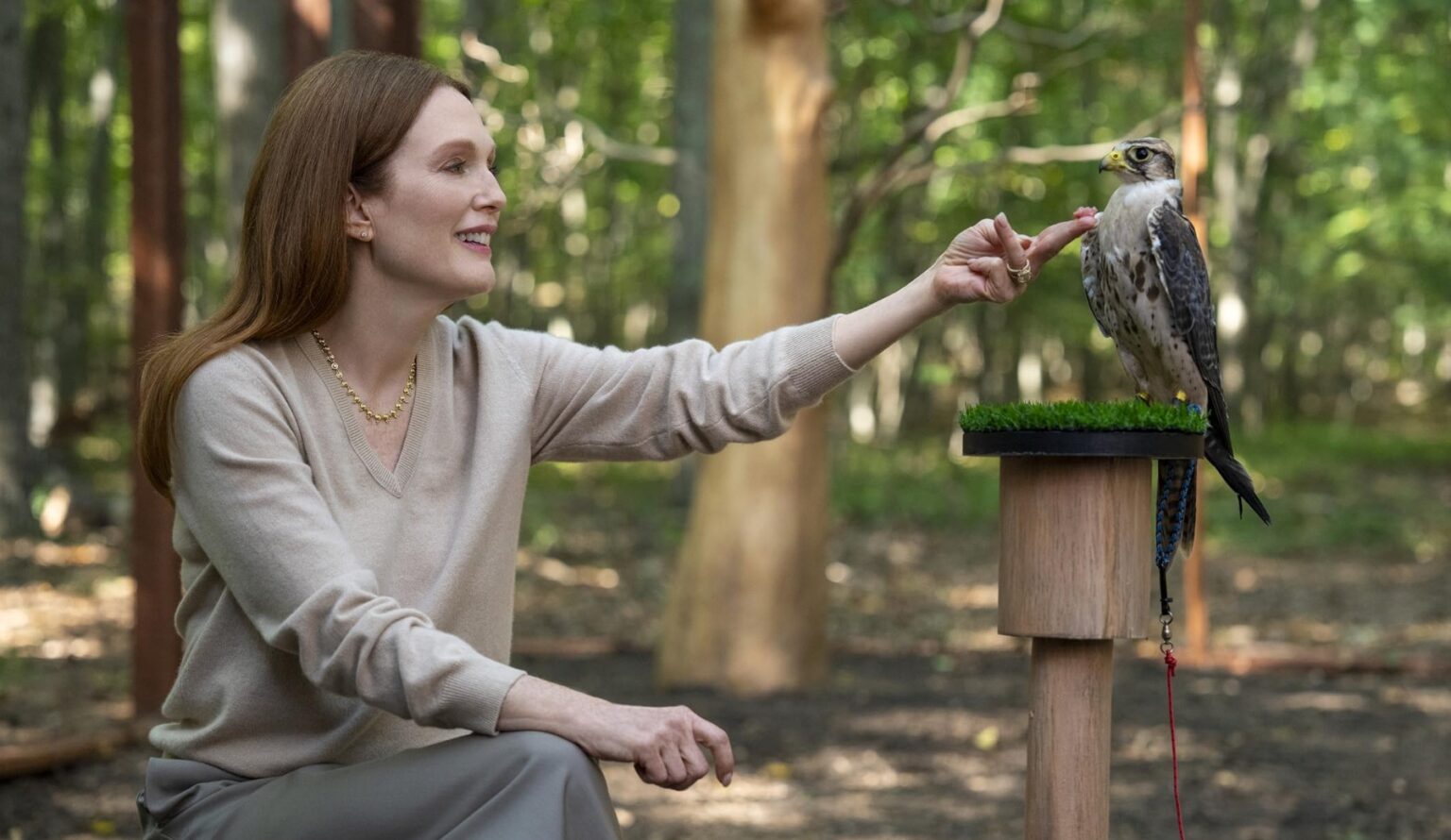 Wann erscheint „Sirens“ auf Netflix? Was ist die Handlung und die Besetzung?